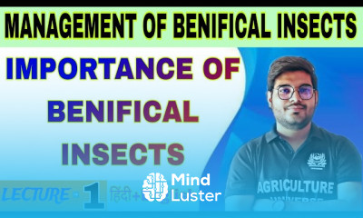 Mind Luster 300,000 Online Courses and MOOCs With Free Certificates in ...