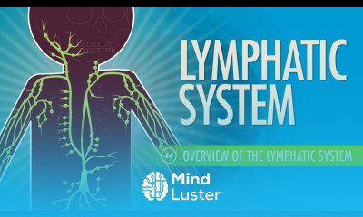 Learn Lymphatic System Crash Course A P 44 - Mind Luster