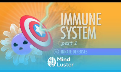 Learn Immune System Part 1 Crash Course A P 45 - Mind Luster