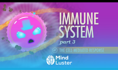 Learn Immune System Part 3 Crash Course A P 47 - Mind Luster