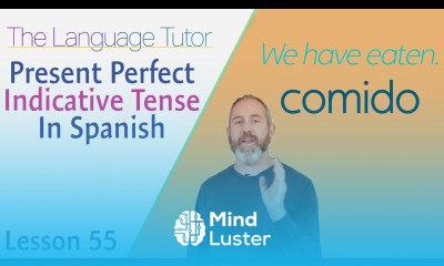 Learn Present Perfect Indicative Tense in Spanish | The Language Tutor ...