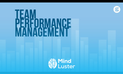 Learn Team Performance Management - Mind Luster