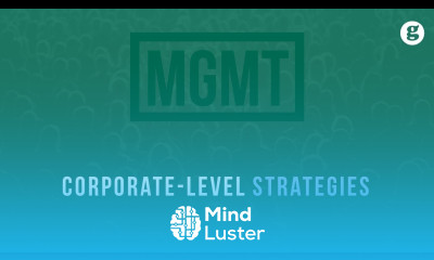 Learn Corporate Level Strategies - Mind Luster