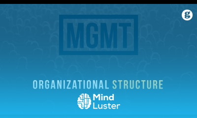 Learn Organizational Structure - Mind Luster