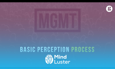 Learn Basic Perception Process - Mind Luster