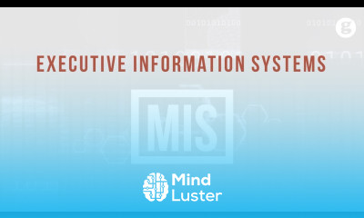 Learn Executive Information Systems - Mind Luster