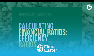 Learn Calculating Financial Ratios Efficiency Ratios - Mind Luster