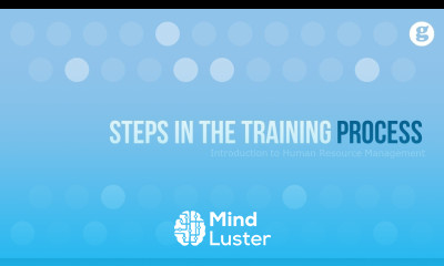 Learn Steps in the Training Process - Mind Luster