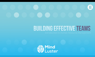 Learn Building Effective Teams - Mind Luster