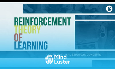 Learn Reinforcement Theory of Learning - Mind Luster