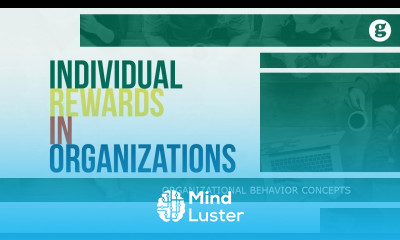 Learn Individual Rewards in Organizations - Mind Luster