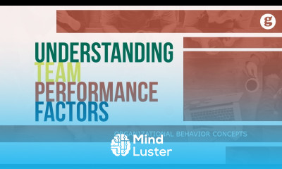 Learn Understanding Team Performance Factors - Mind Luster