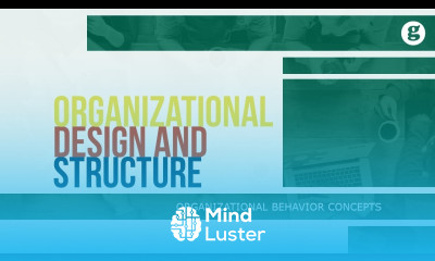 Learn Organizational Design and Structure - Mind Luster