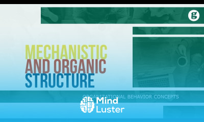 Learn Mechanistic and Organic Structure - Mind Luster