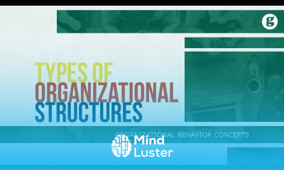 Learn Types of Organizational Structures - Mind Luster