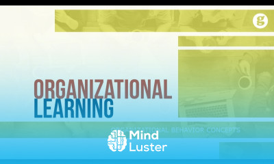 Learn Organizational Learning - Mind Luster