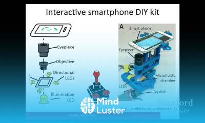 Learn Stanford Seminar Interactive Biotechnology Cloud Labs Biotic Games Museum Exhibits DIY ...