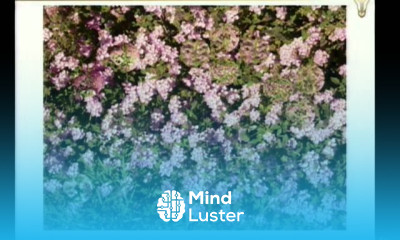 Learn Interactive Evolution of Camouflage - Mind Luster