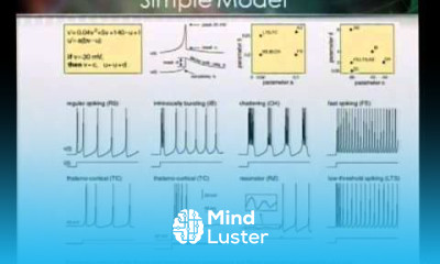 Learn Biologically Inspired Machine Learning - Mind Luster