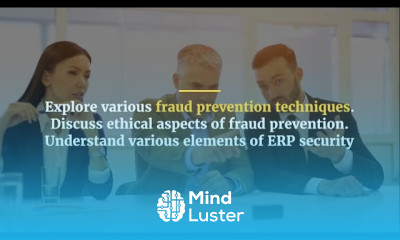 Learn System Security and Fraud Prevention in ERP Environment - Mind Luster