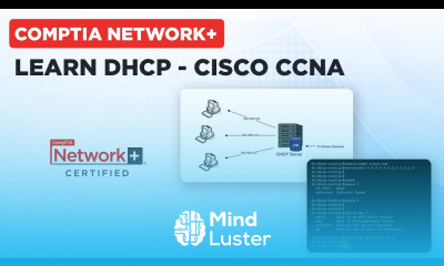 Learn What is DHCP Cisco CCNA CompTIA Network - Mind Luster