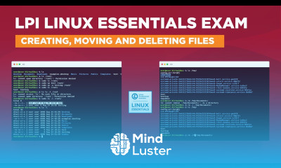 Learn LPI Linux Essentials Exam Creating Moving and Deleting Files - Mind Luster