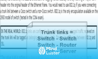 Learn Cisco CCNA VLANs Made Easy Lecture Part 4 - Mind Luster
