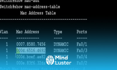 Learn Cisco IOS show mac address table - Mind Luster