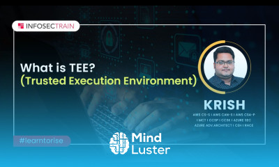 Learn What is Trusted Execution Environment TEE | TEE Trusted Execution Environment - Mind Luster