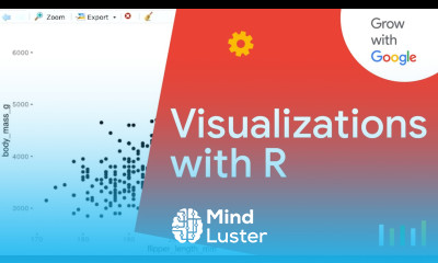 Learn Intro to Data Visualization with R ggplot2 | Google Data Analytics Certificate - Mind Luster