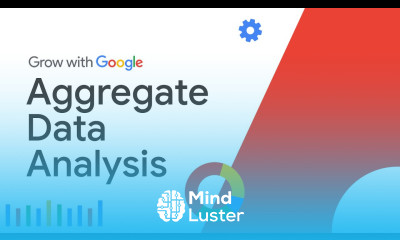 Learn Aggregating Data for Analysis | Google Data Analytics Certificate - Mind Luster