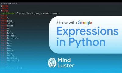 Learn Regular Expressions in Python | Google IT Automation with Python Certificate - Mind Luster