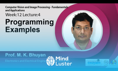 Learn Lec 41 Programming Examples - Mind Luster