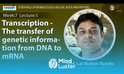 Learn Lec 20 Transcription The transfer of genetic information from DNA to mRNA - Mind Luster