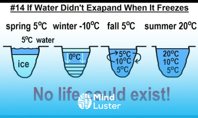 Learn Can You Believe It 37 The Miracle of Our existence 14 of 40 If ...