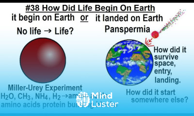 Learn Can You Believe It 37 The Miracle of Our existence 38 of 40 How ...