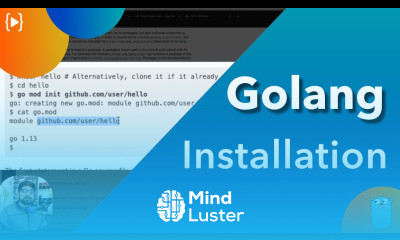 Learn Installation of golang and first code Go programming language - Mind Luster