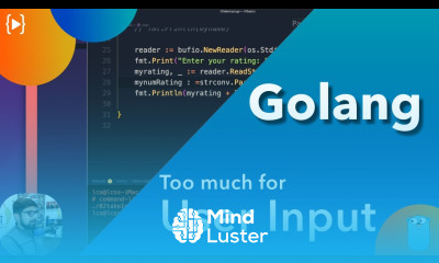 Learn Too much to take user input in golang - Mind Luster