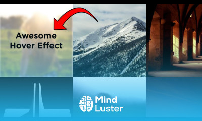 Learn How To Create An Image Hover Effect With CSS - Mind Luster