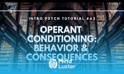 Learn Operant Conditioning Behavior Consequences Intro Psych Tutorial ...