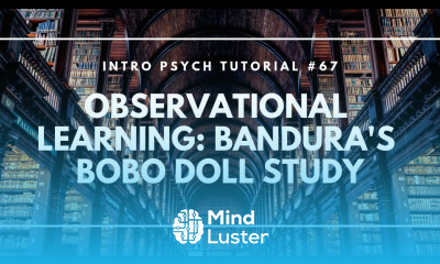 Learn Observational Learning Bandura s Bobo Doll Study Intro Psych ...