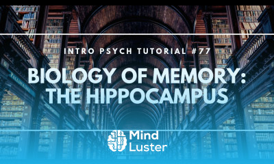 Learn Biology of Memory The Hippocampus Intro Psych Tutorial 77 - Mind ...