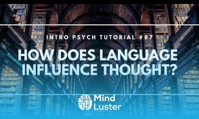 Learn How Does Language Influence Thought Intro Psych Tutorial 87 ...