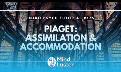 Learn Cognitive Development Piaget Assimilation Accommodation Intro Psych Tutorial 175 - Mind Luster