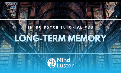 Learn Long Term Memory Intro Psych Tutorial 73 - Mind Luster