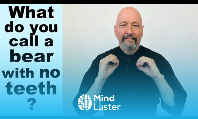 Learn Dad Joke in ASL What do you call a bear with no teeth - Mind Luster