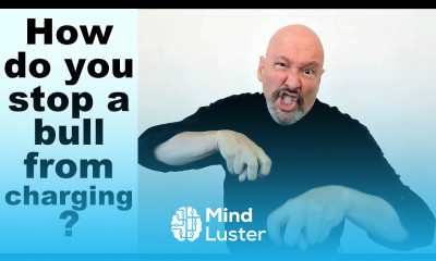 Learn Dad Joke in ASL How do you stop a charging bull - Mind Luster