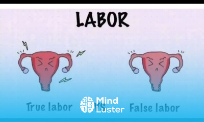 Learn Labor True Labor Vs False Labor - Mind Luster