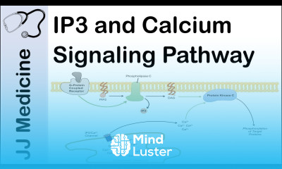 Learn Inositol Triphosphate IP3 and Calcium Signaling Pathway Second ...