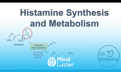 Learn Histamine Synthesis and Metabolism Pathway - Mind Luster